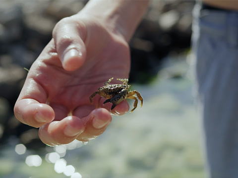 What To Bring And What To Do At Norriego Point - Destin FWB
