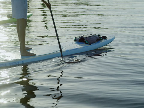 5 Best Places To Paddleboard - Destin FWB