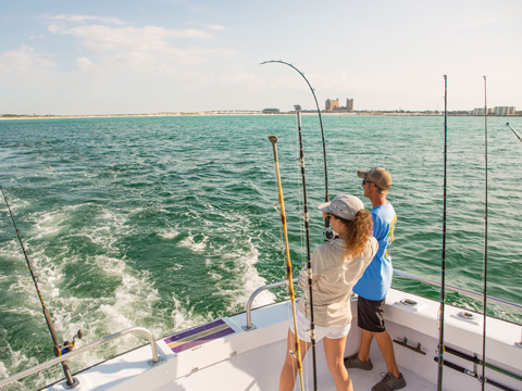 The 10 Fish Youll See At The Destin Harbor - Destin FWB