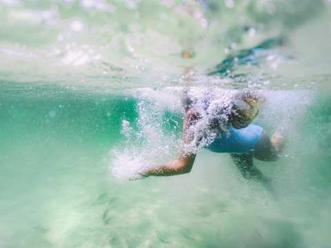 Aquatic Life At The Norriego Point Tide Pools - Destin FWB