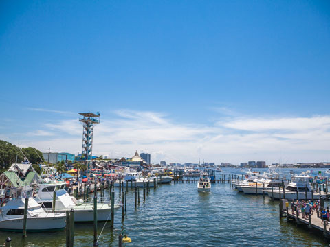 5 Things To Do At The Destin Harbor - Destin FWB