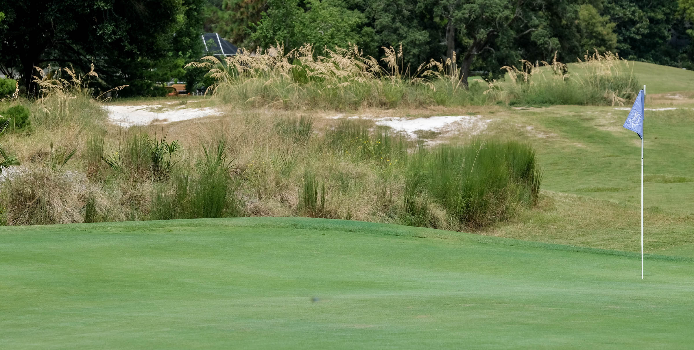 Shalimar Pointe Golf Club | Destin FWB, Florida