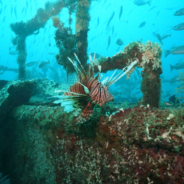 Ecotourism | Destin-Fort Walton Beach, Florida