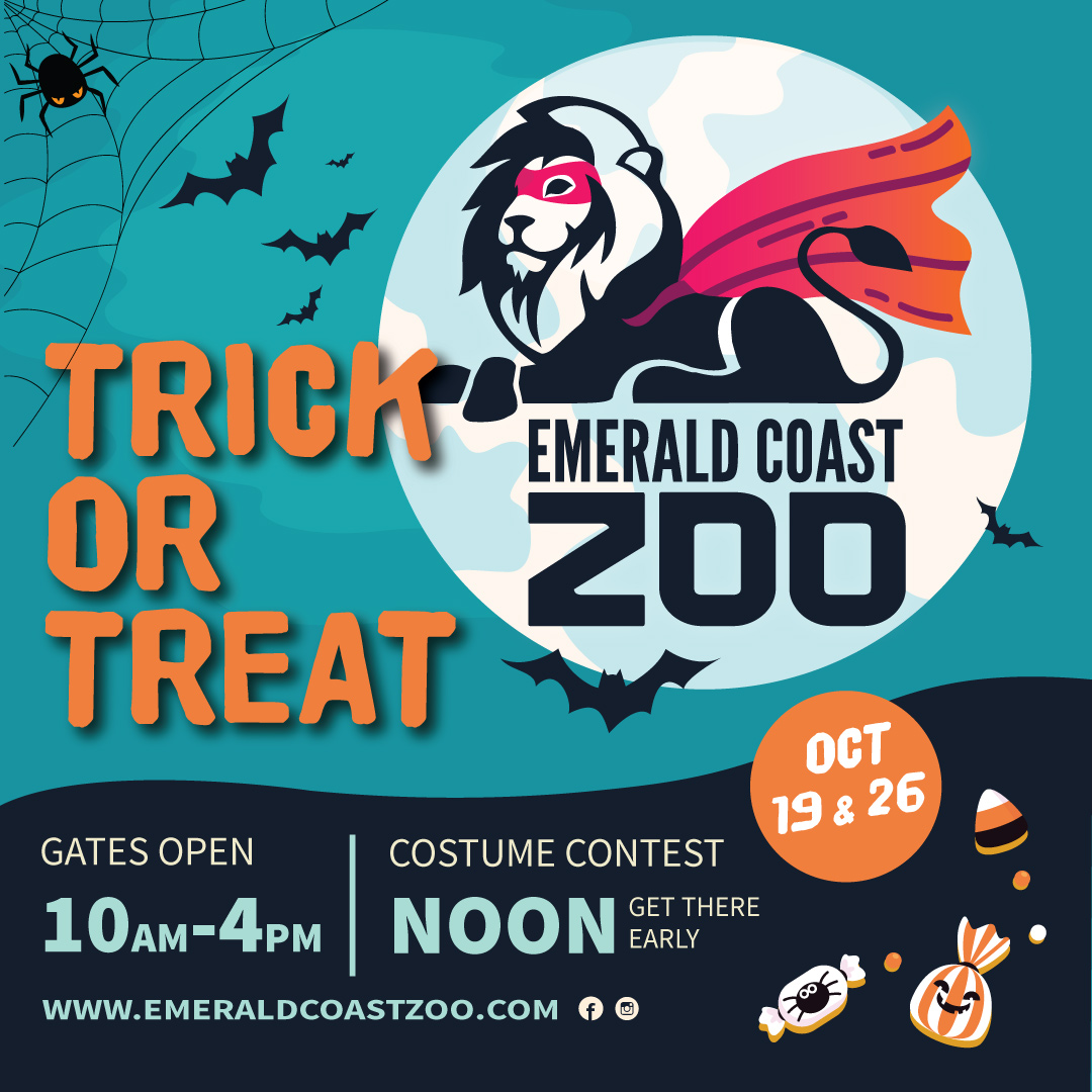 Meetings + Events - Destin FWB